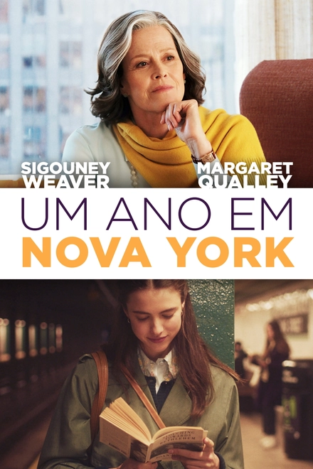 Omelete | Um Ano em Nova York