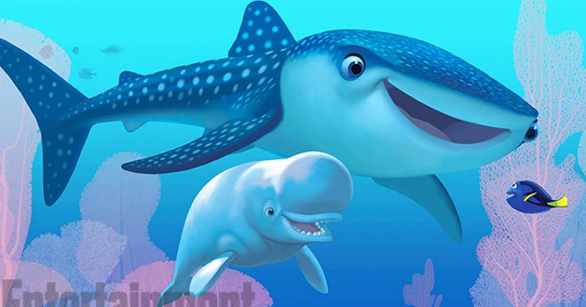 Baleia Comendo Krill Procurando Nemo